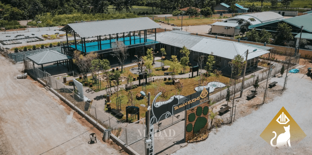 Taman Kucing | Madad Centre